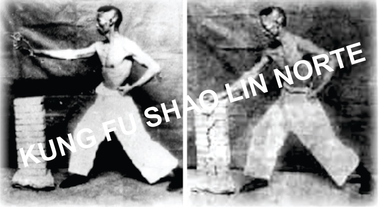 ACADEMIA TFP KUNG FU TRAINING: MESTRES