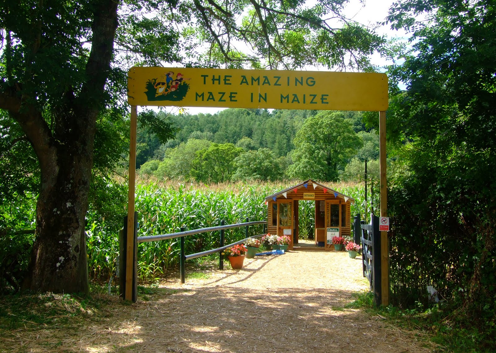 North Devon Yearbook: Maize Maze, Bickleigh