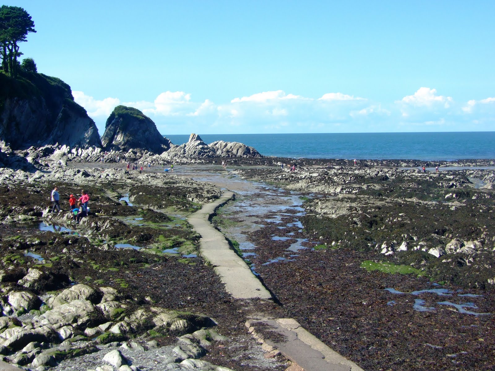 North Devon Yearbook: Lee Bay and Sandy Cove