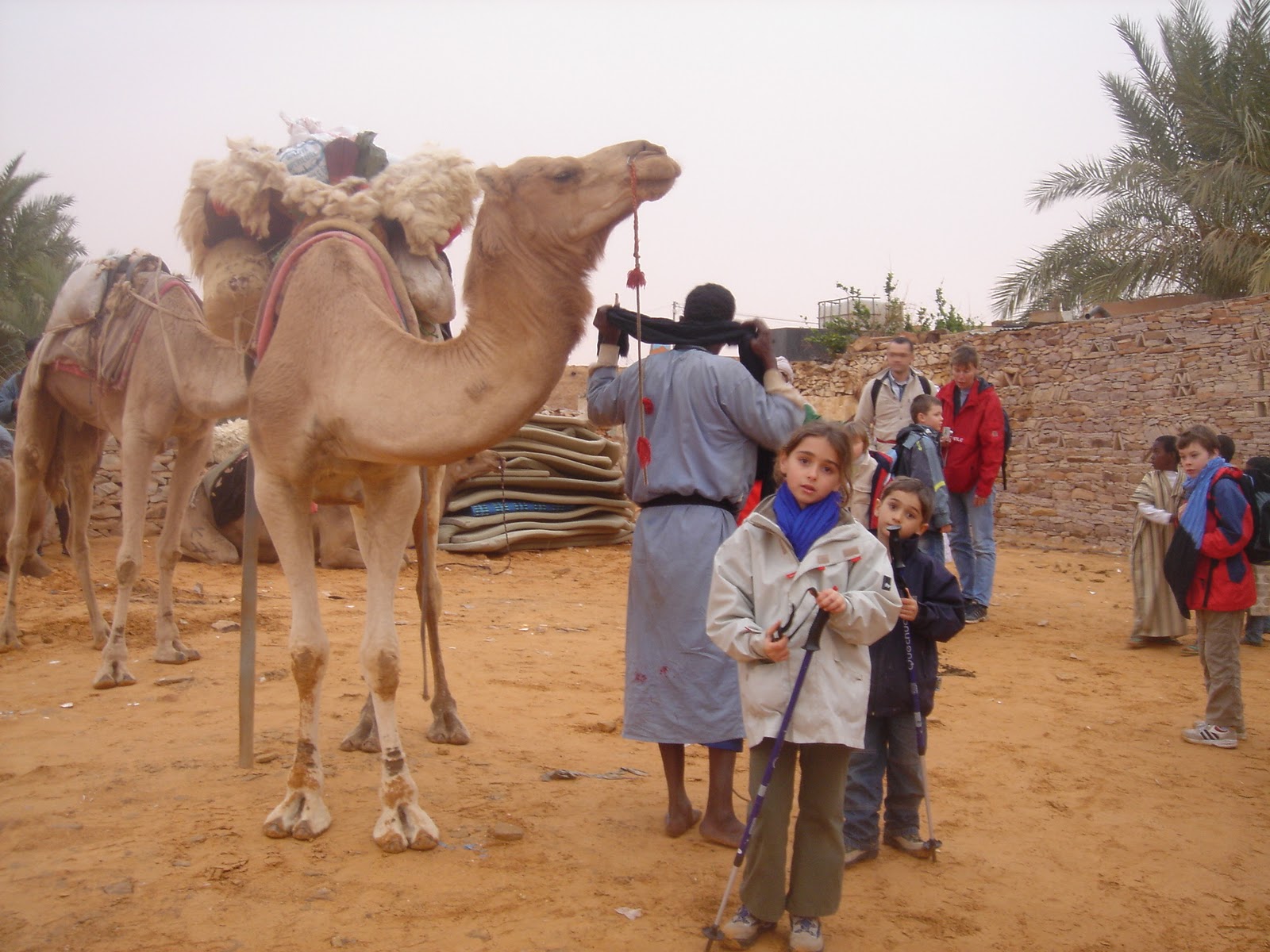 SAHARA TREKKING - Sid Ahmed Nemoud - guide Mauritanie: Nomadisme avec ...
