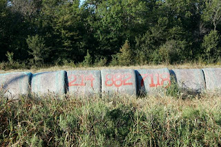 Redneck Haiku: Life in Poetry... Texas