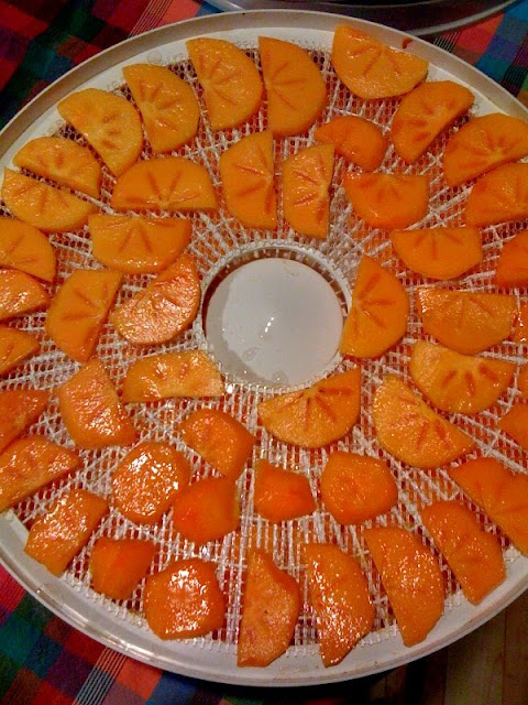Seeking My Life: Drying persimmons
