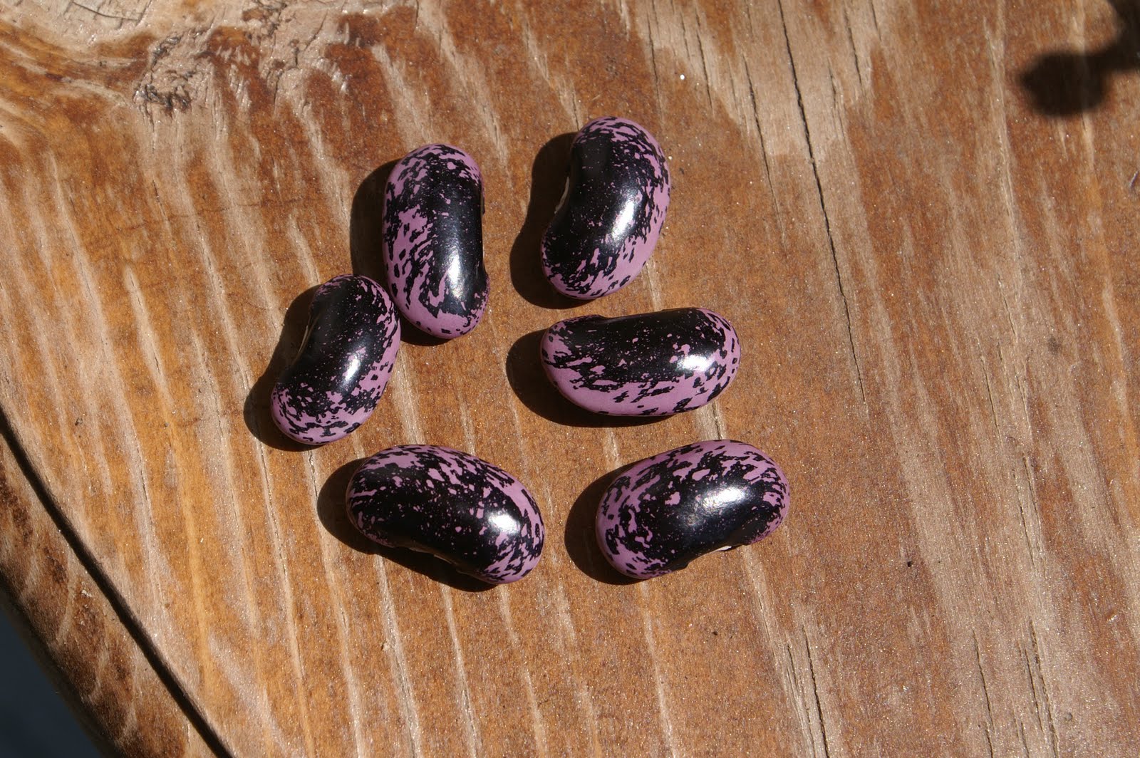 greens and jeans: Beautiful Beans