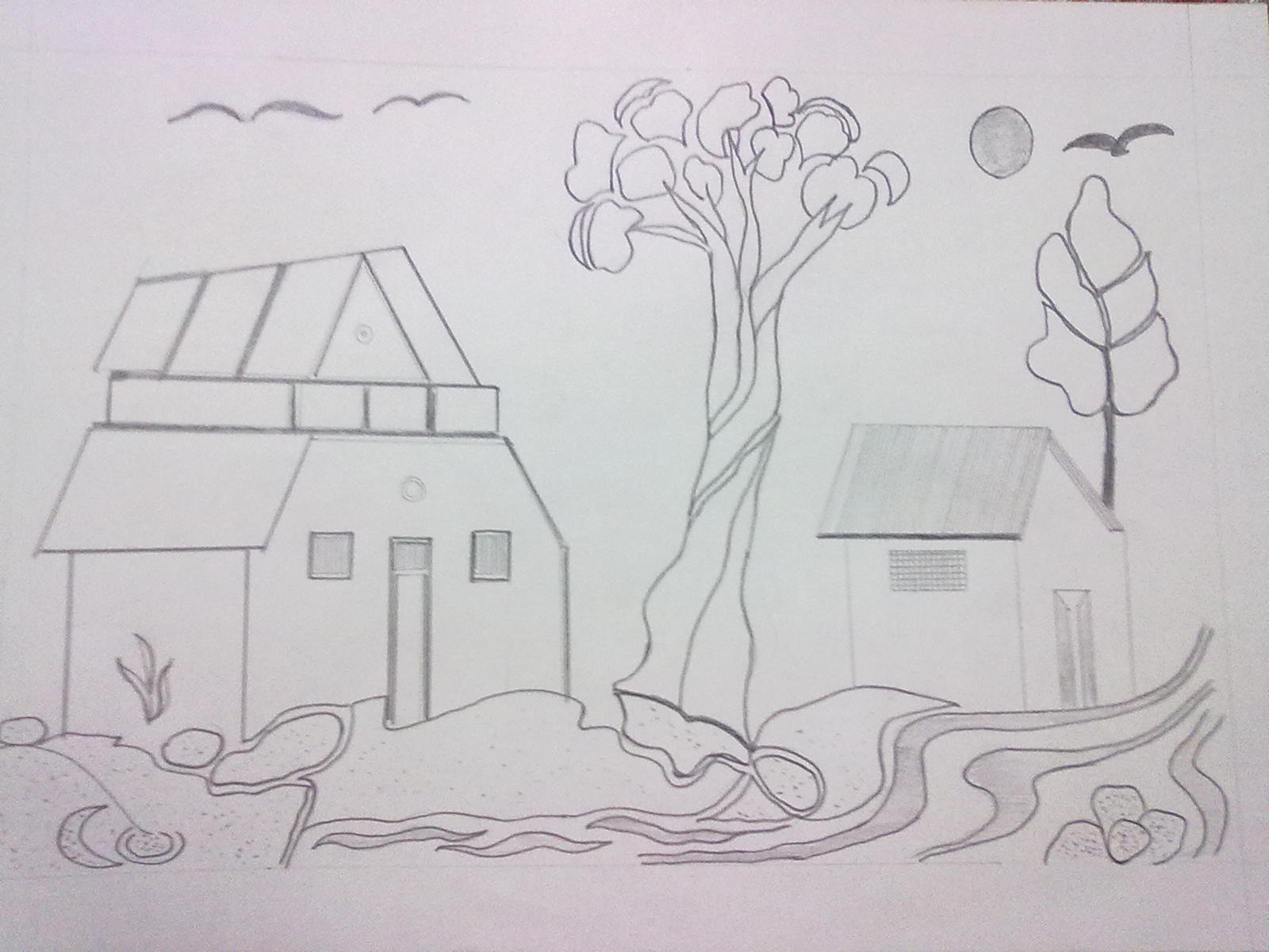 Beginning the Journey of Drawing.: My First Drawing