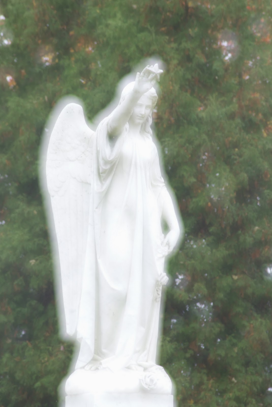 photography workshop with Andre Gallant