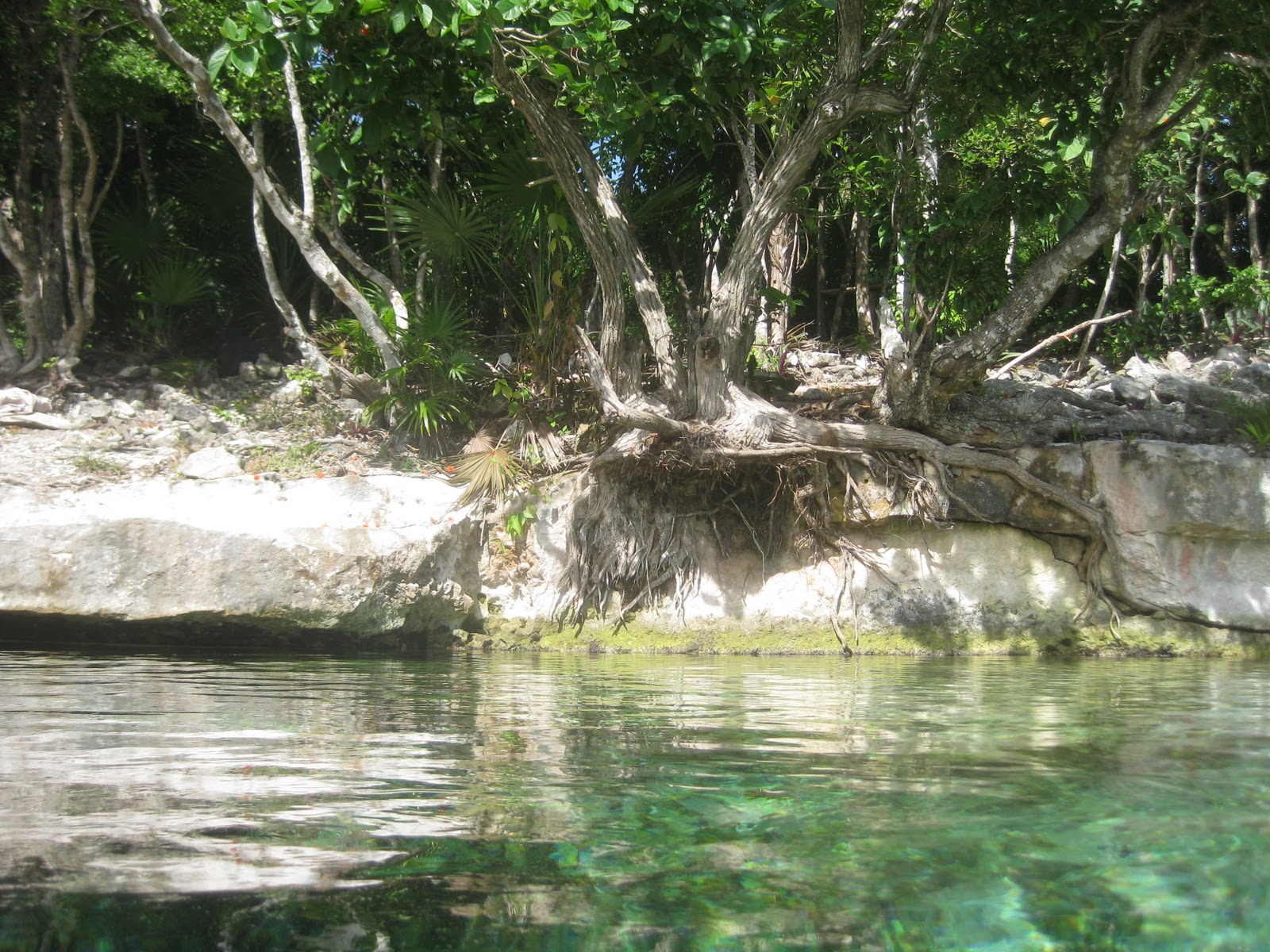 Charity's Chatter: Cruise Day 3: Calica, Mexico