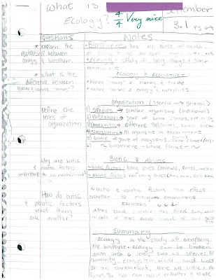 Mrs. Stein's 3rd Period STS Biology: Cornell Notes