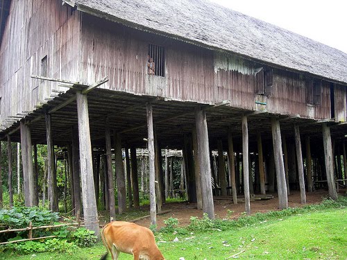 "RUMAH BETANG" The Long House of the Dayak, Borneo