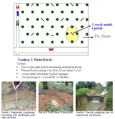 Hendar: Pembuatan Rorak dan Optimalisasi Produktivitas Tanaman Kelapa Sawit