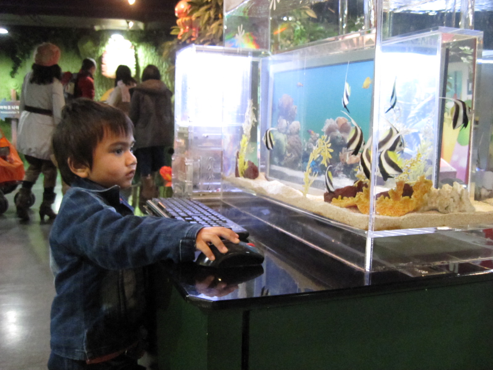 Life With Afraz: Tour With Afraz