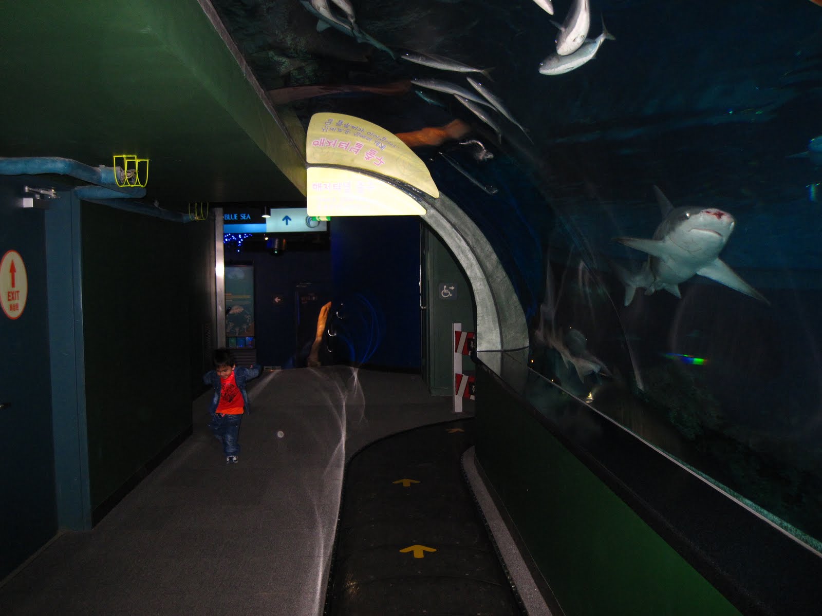 Life With Afraz: Tour With Afraz