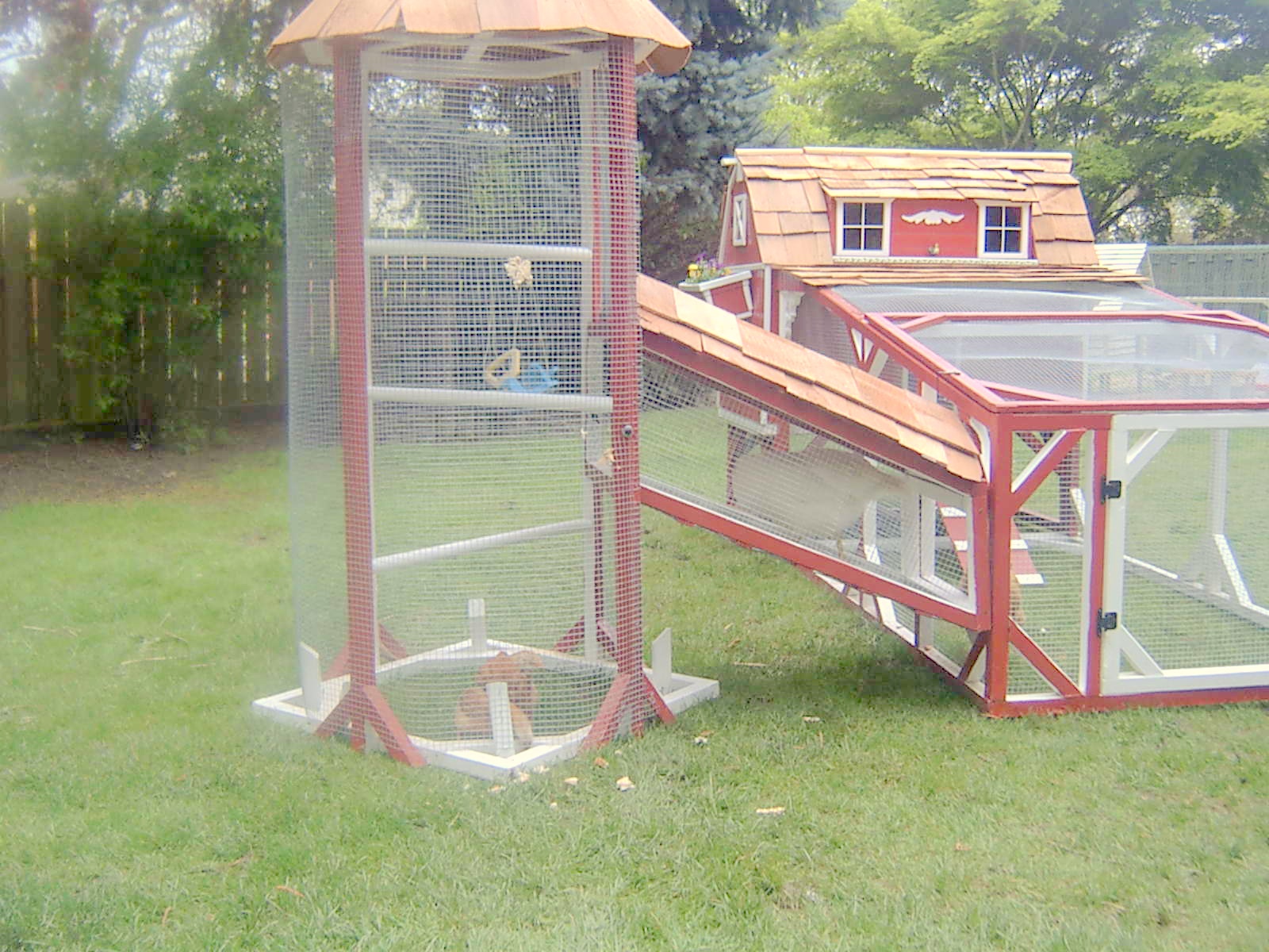 The Beautiful Chicken Farm