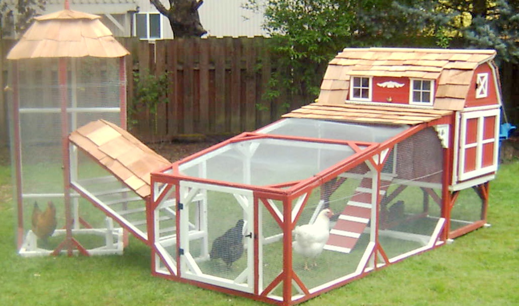 The Beautiful Chicken Farm: What a Beautiful Chicken Coop