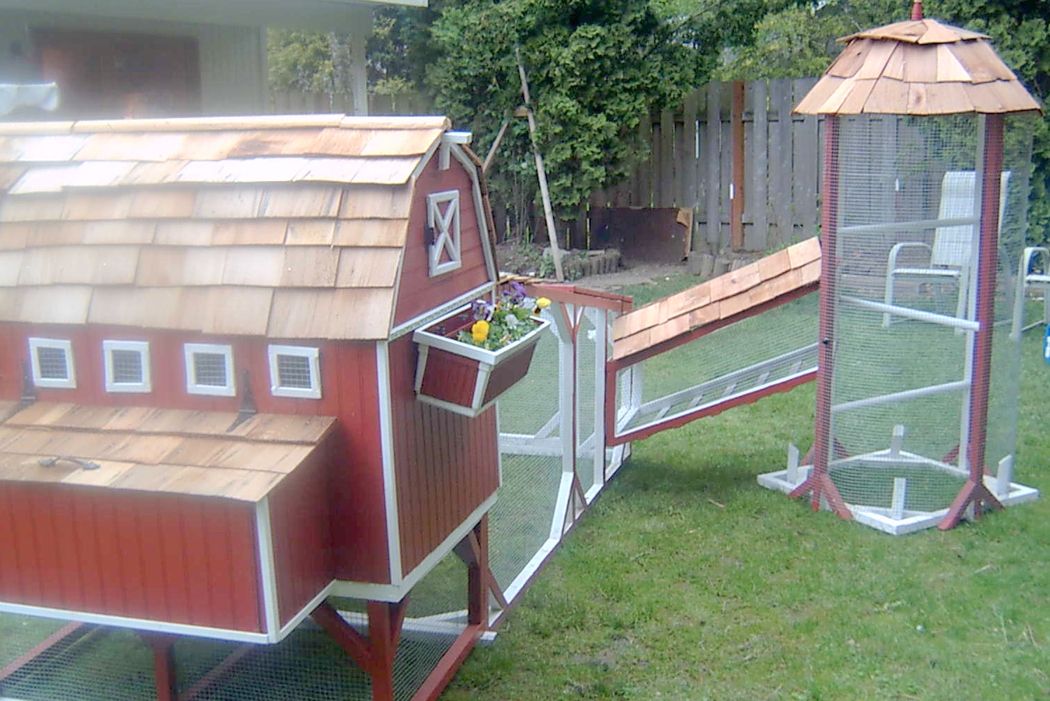 The Beautiful Chicken Farm