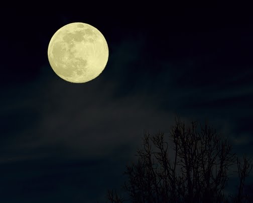 Beyond the Fields We Know: March's Full Moon of Earth Awakening