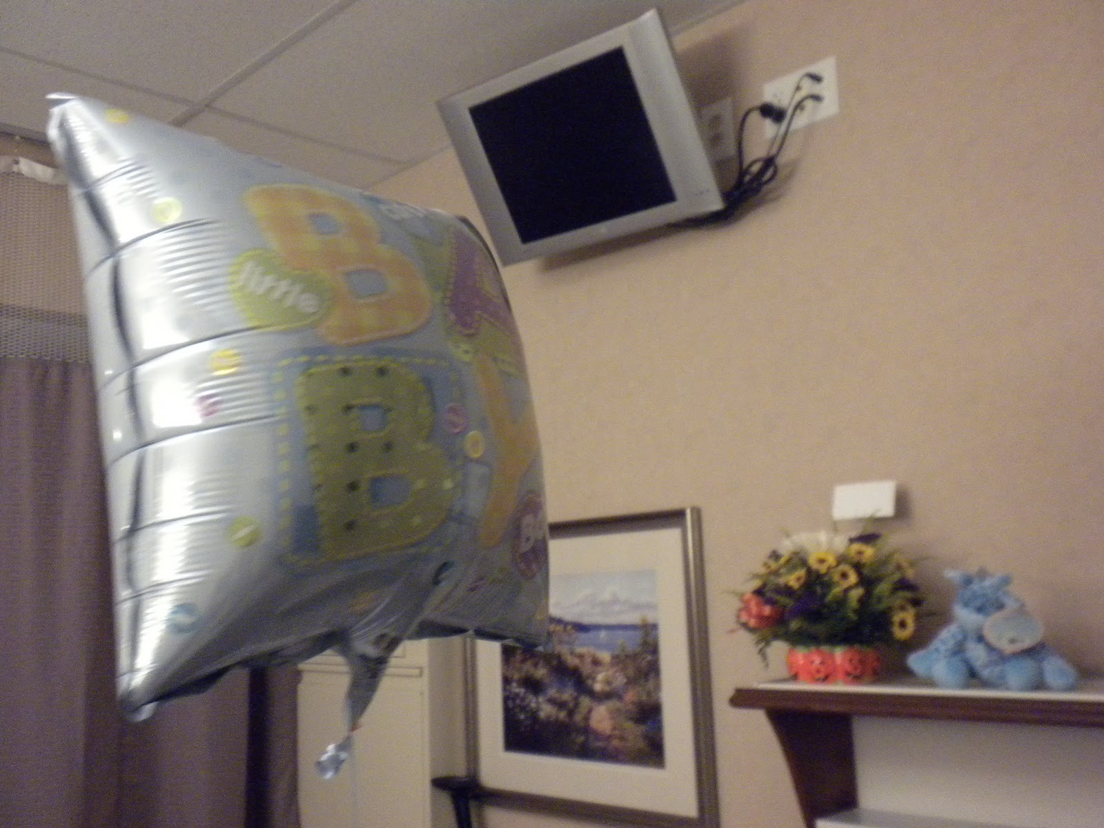 A day in the life of the Buzzells: Gregory Daniel Buzzell Arrives