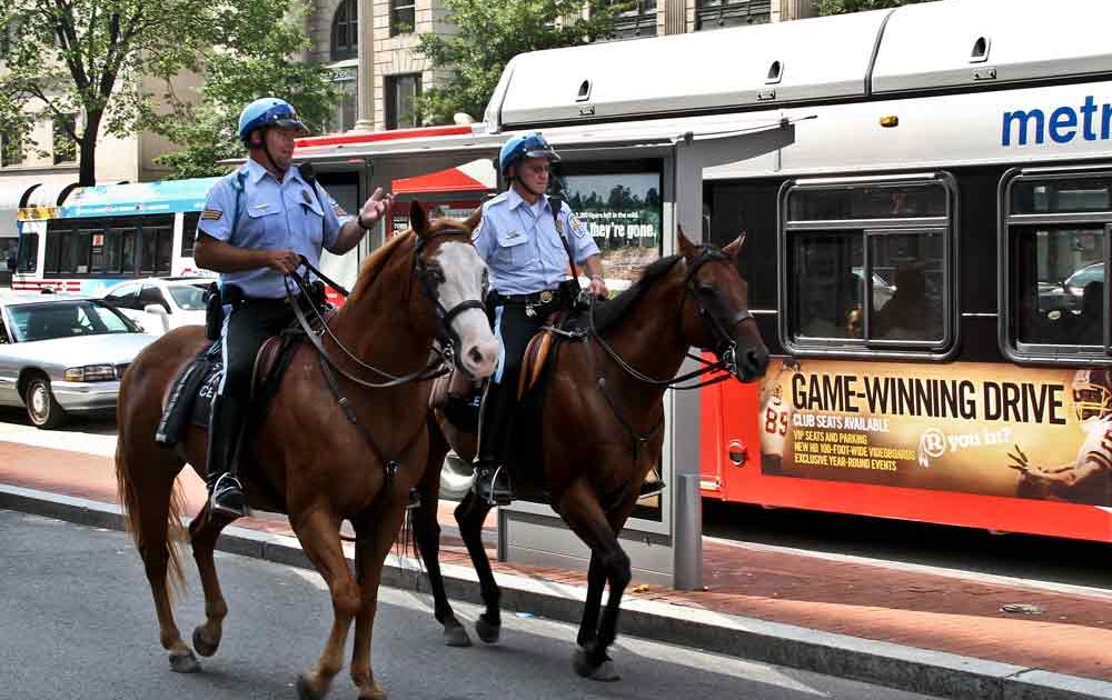 One Photograph a Day: City Horses