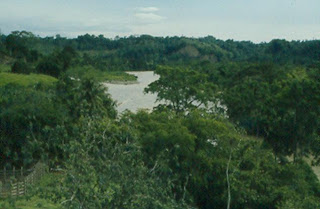 la belleza natural del choco: la flora y la fauna