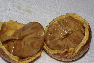 OLHAR DE CACIMBO: Um prato de comida e uma fruta podre