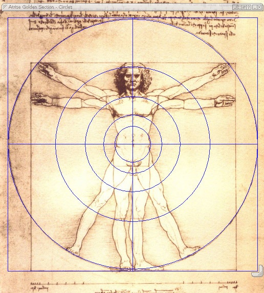 Design Spotlight: Proportion & Scale