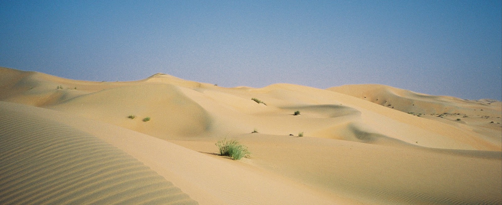 The Big 5-0: You Say Dubai Part VI: Empty Quarters