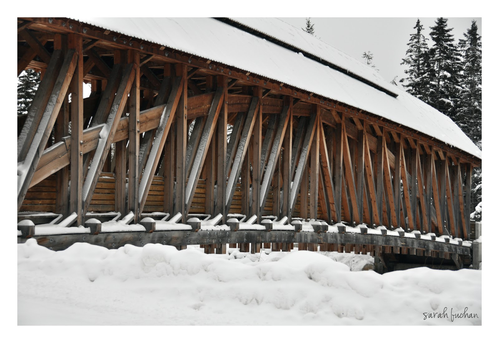 A Shutter Bug: Golden, BC - Timber Frame Bridge