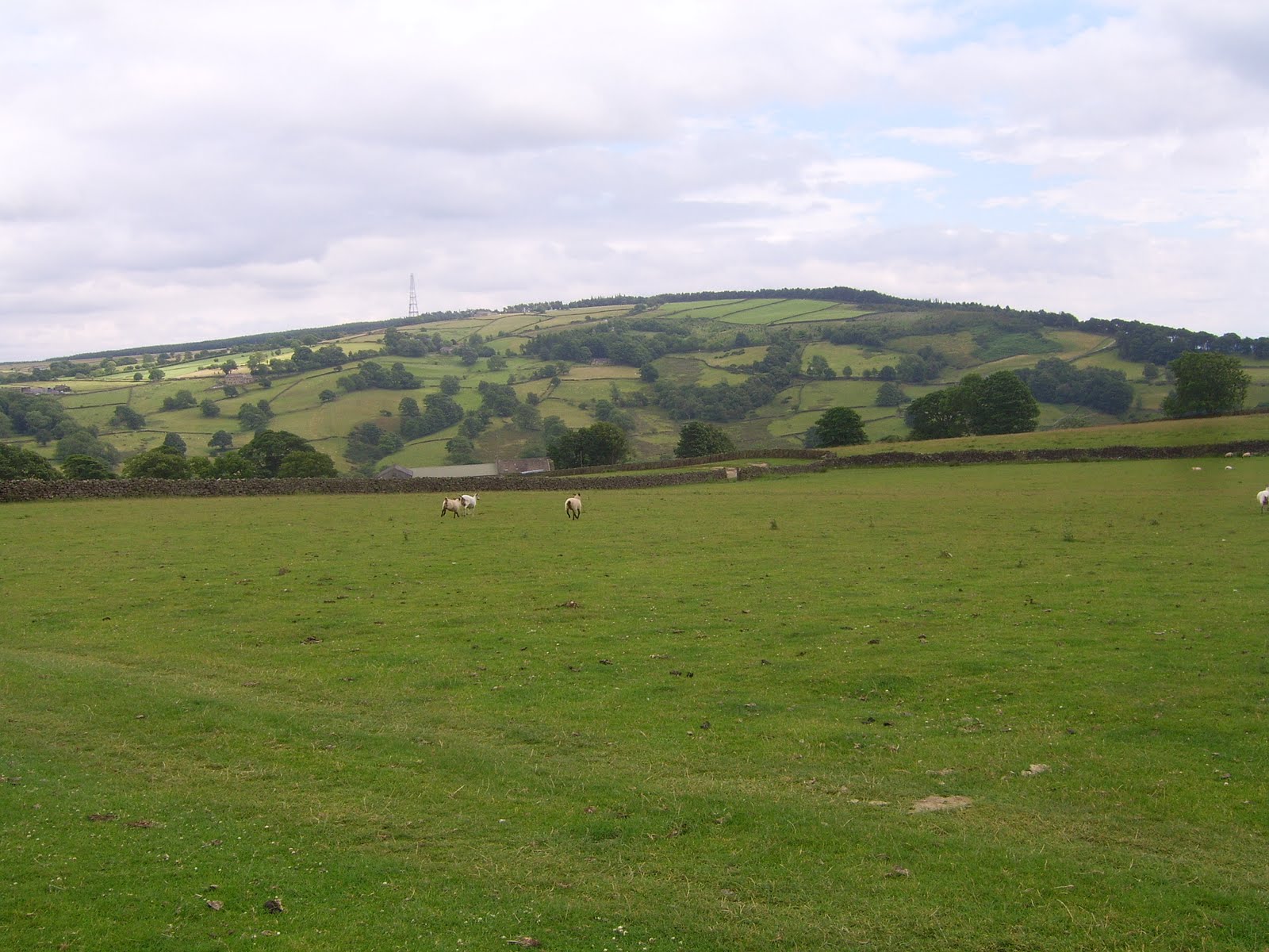 Burland Wanderings, Wainwright Walks etc.: Timble and Swinsty