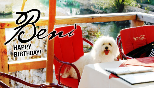 Happy Birthday Beni - Mersad Donko Photography