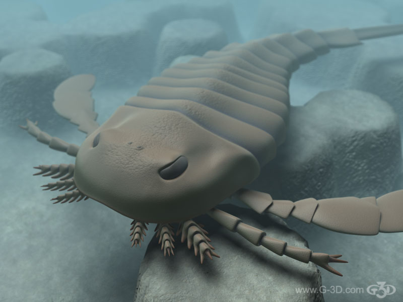 Eurypterids (sea scorpions) are an extinct group of arthropods that ...