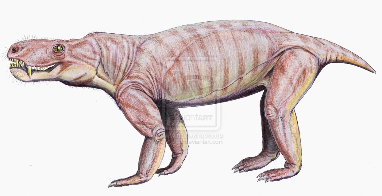 Hronoblog: 299-251 млн лет назад. Пермский период. Жизнь.(Продолжение 2)