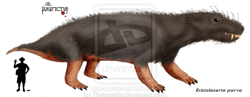 Hronoblog: 299-251 млн лет назад. Пермский период. Жизнь.(Продолжение 2)