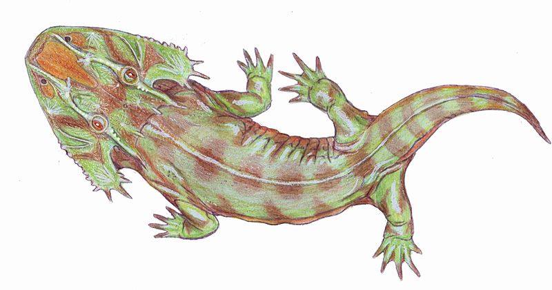 Hronoblog: 299-251 млн лет назад. Пермский период. Жизнь.(Продолжение 6)