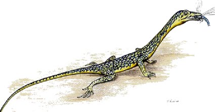 Hronoblog: 299-251 млн лет назад. Пермский период. Жизнь.(Продолжение 4)