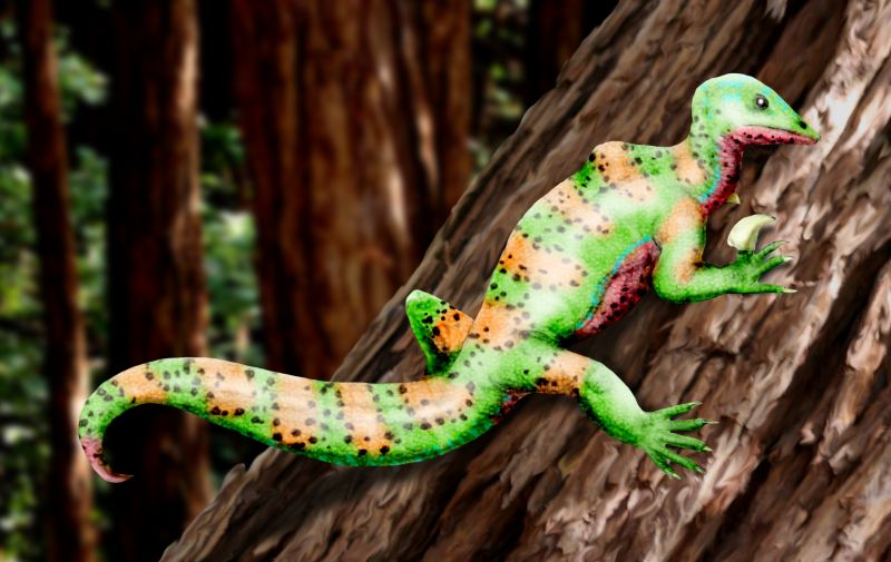 Hronoblog: 251-199.6 млн лет назад.Триасовый период.Жизнь 7.