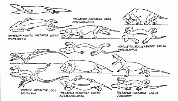 Hronoblog: 253,8-251 млн лет назад.Чангхсингский ярус (Changhsingian ...