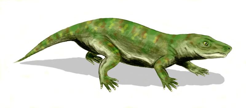 Hronoblog: 251-199.6 млн лет назад.Триасовый период.Жизнь 9.