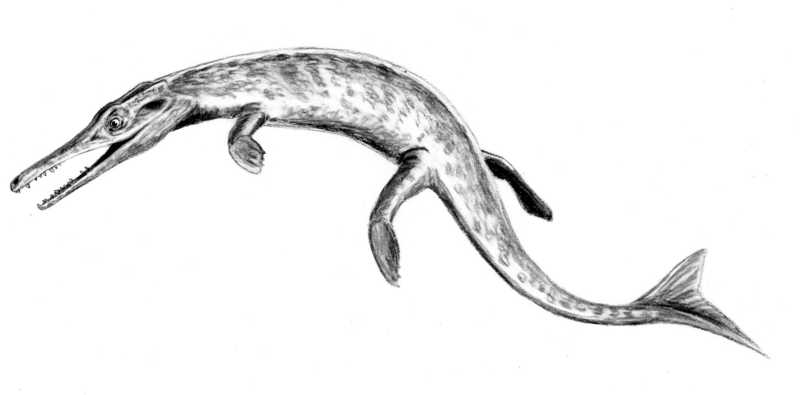 Hronoblog: 199,6-145,5 млн лет назад. Юрский период. Зоопарк 6.