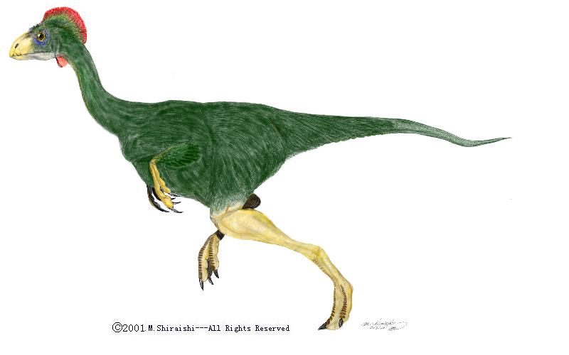 Hronoblog: 145,5-65,5 млн лет назад.Меловый период.Жизнь 3.