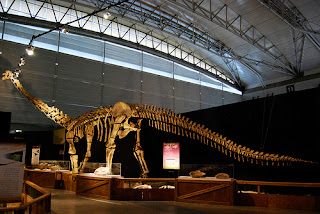 Hronoblog: 145,5-65,5 млн лет назад.Меловый период.Жизнь 5.