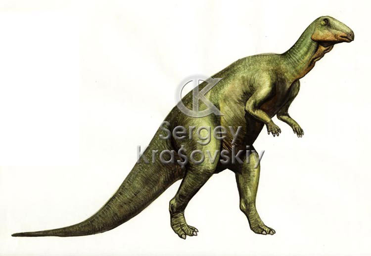 Hronoblog: 145,5-65,5 млн лет назад.Меловый период.Жизнь 6.