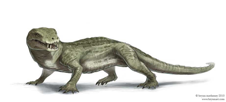 Hronoblog: 145,5-65,5 млн лет назад.Меловый период.Жизнь 12.