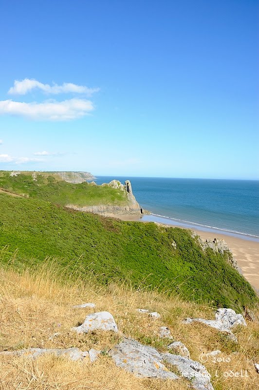 Terry's Place: Friday Field Trip - Wales