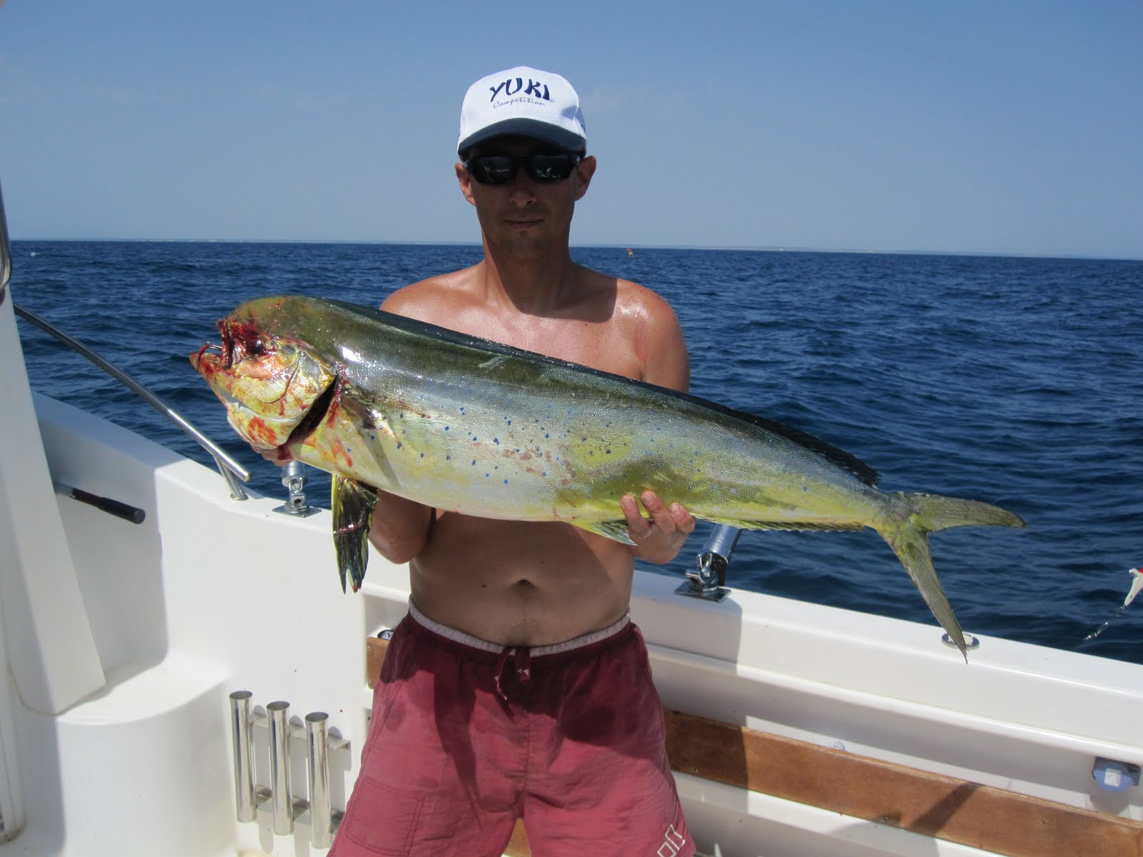 PESCA CINTINA: Comienza el curricán de altura
