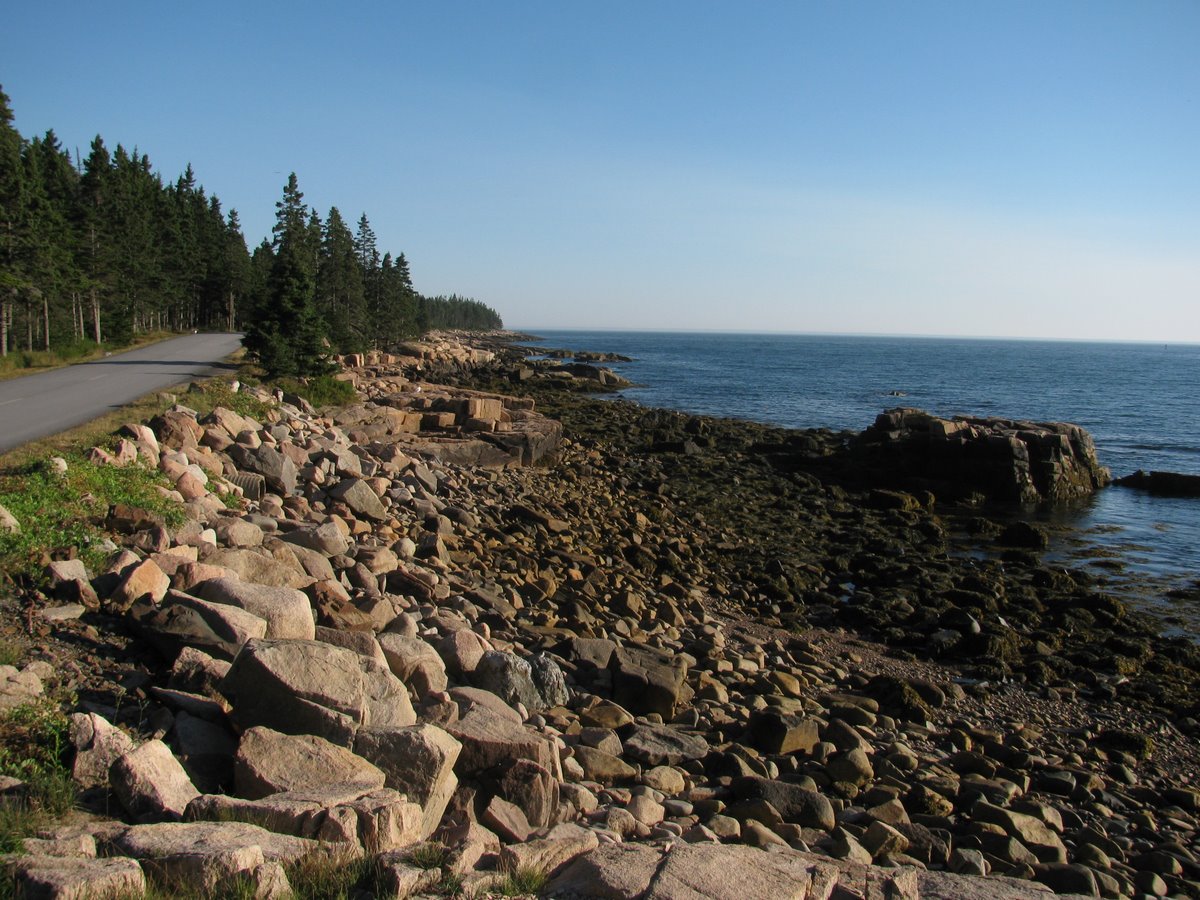 Gravel Beach: Schoodic Peninsula