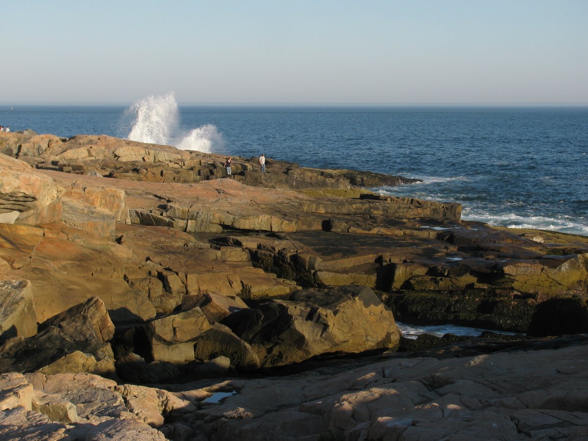 Gravel Beach: Schoodic Peninsula