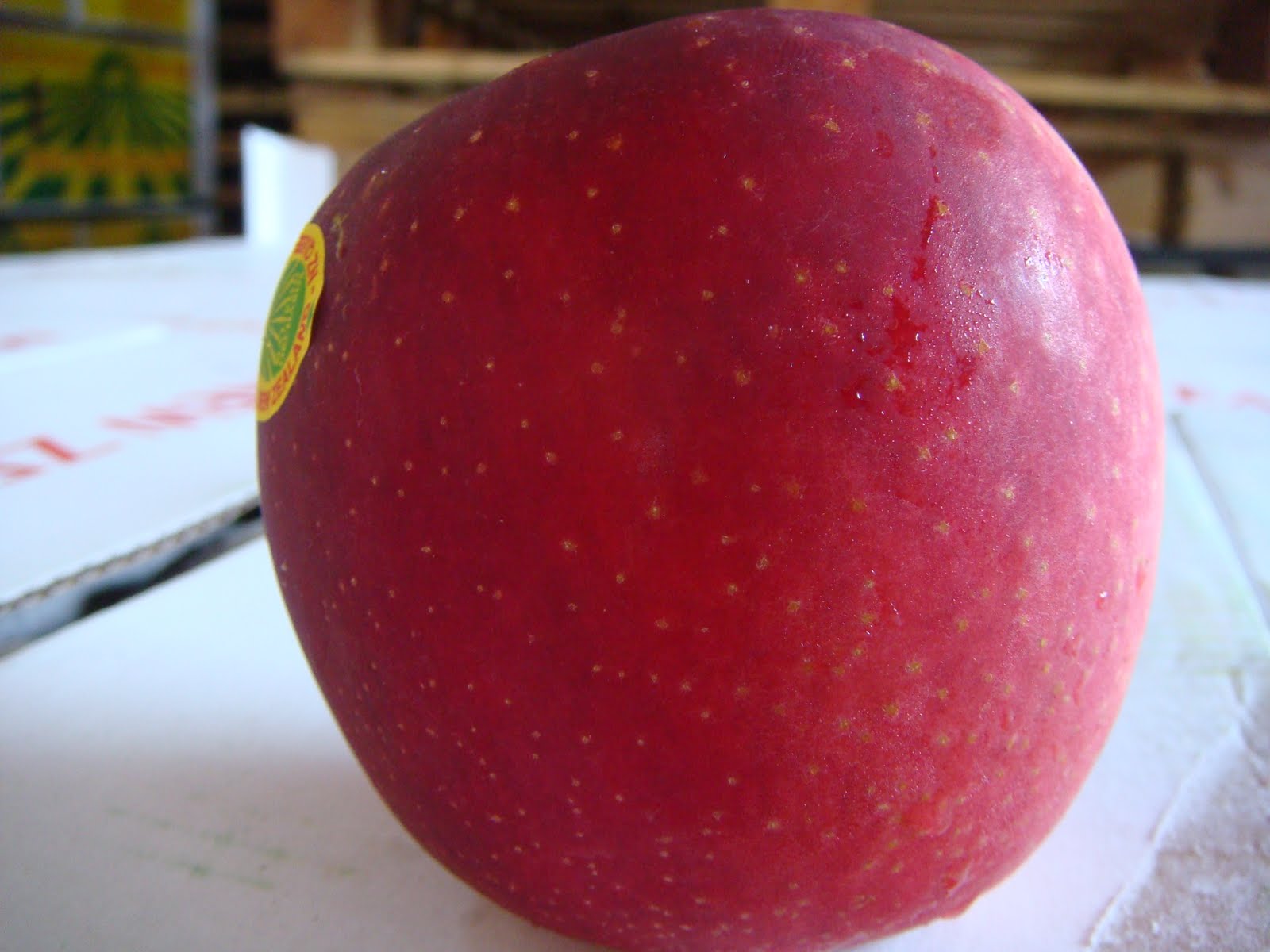 TCG & Sons Fruit Company: *HIGHLIGHTS* NZ Queen Apple