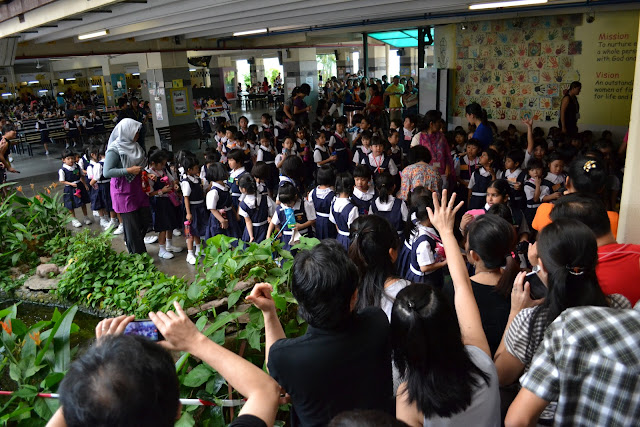 Charles' Trail: Joann's First Day at PLMGS (Primary)