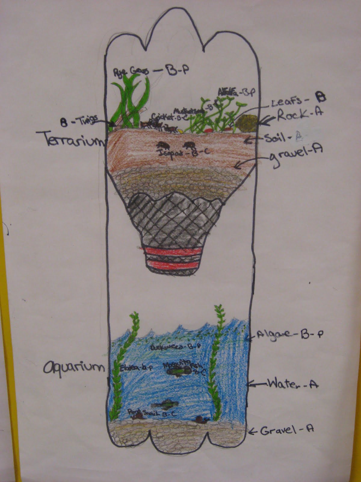 Mrs. Kooken's blog: Studying Ecosystems