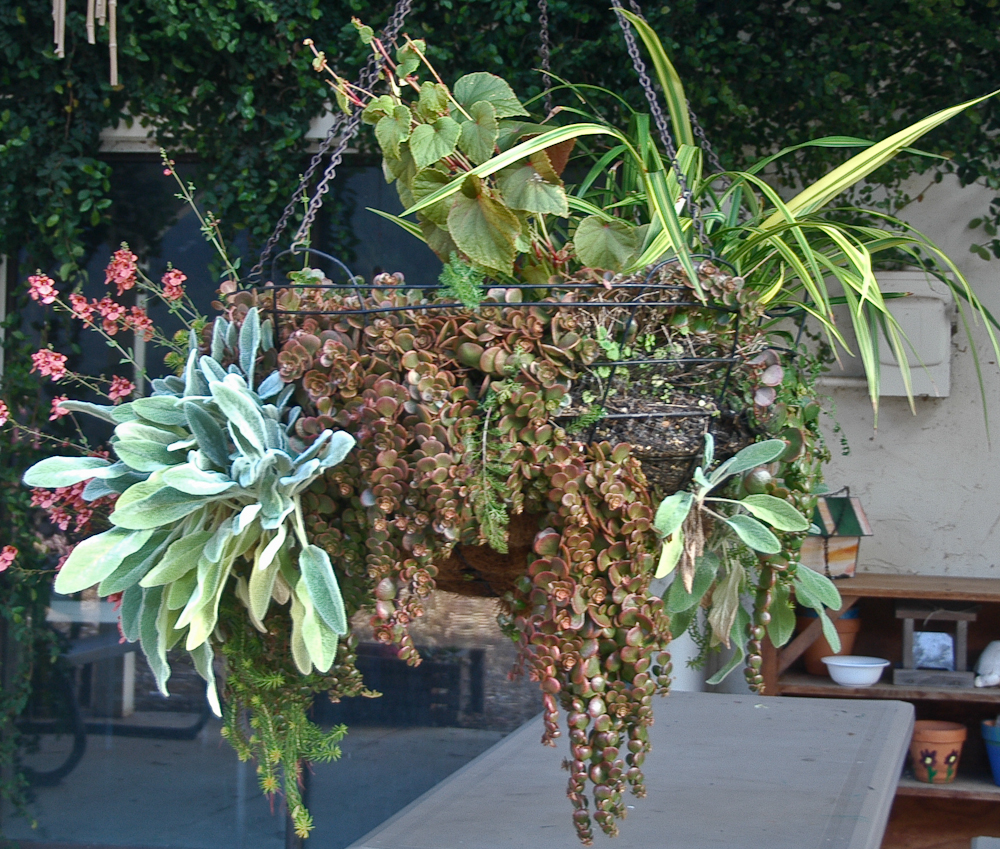 Creative hanging baskets