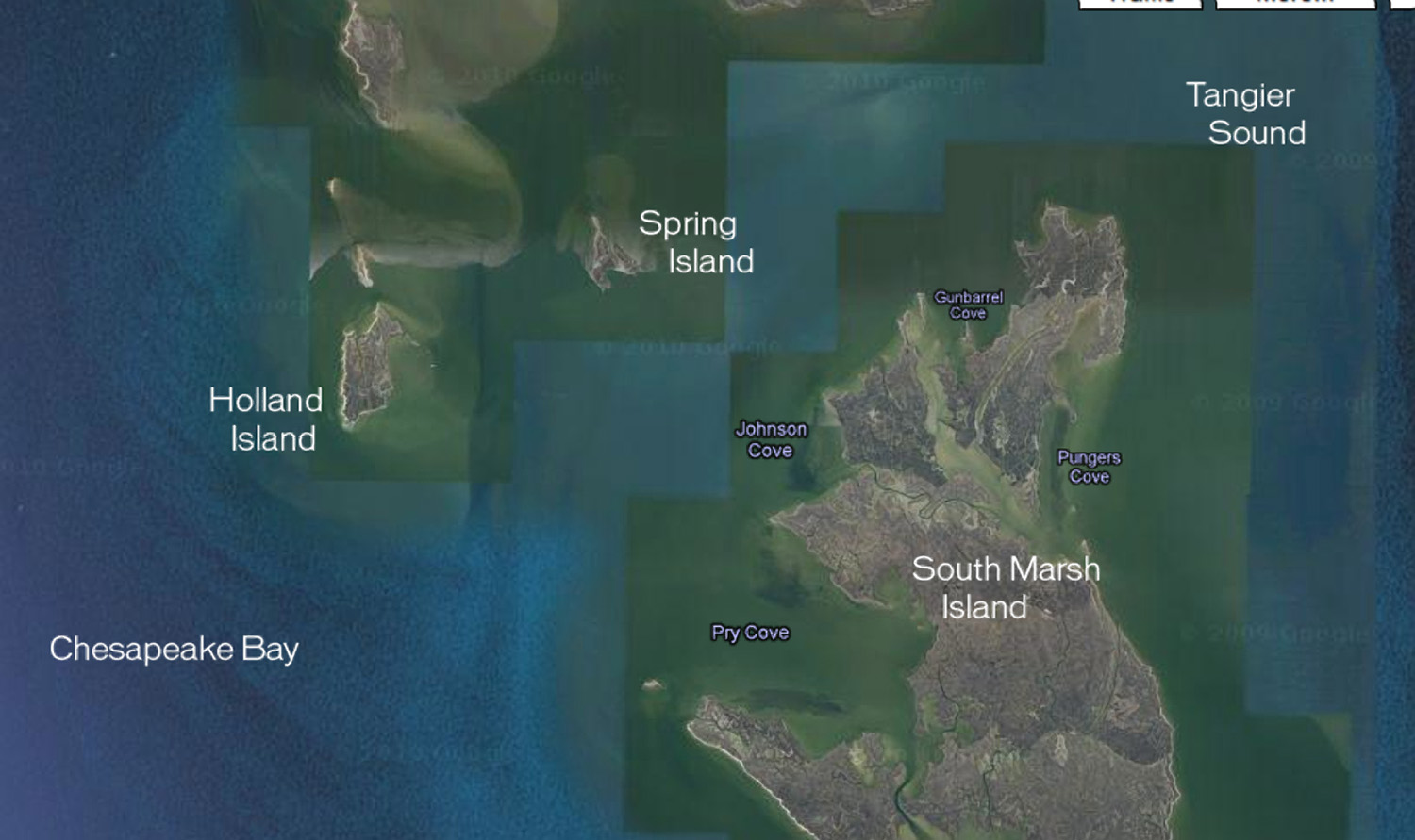 The Log of Spartina: "Forget me not, is all I ask."